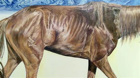 Морины зураг Morinii Zurag