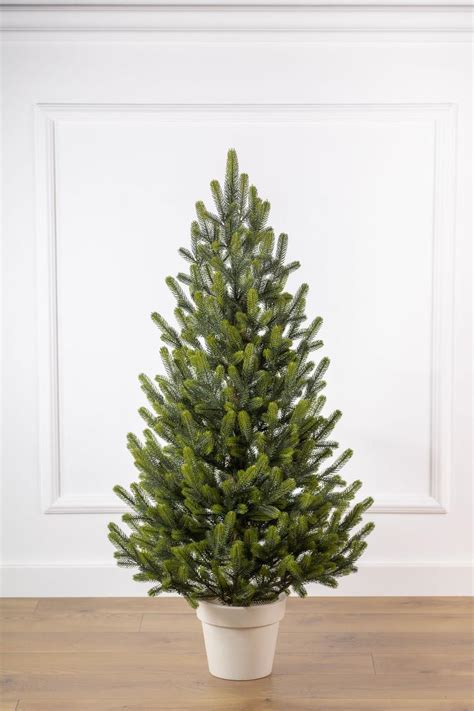 ᐉ Ялинка лита Sigagroup Віденська в горщику 1 10 м Sg2911180024497 • Краща ціна в Києві