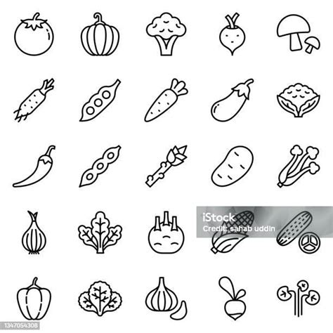 야채 아이콘 세트 벡터 일러스트레이션 야채 건강 유기농 채식주의 자 양파 토마토 당근 호박 뿌리 마늘 버섯 양상추 샐러드 얇은 라인 아이콘 버섯에 대한 스톡 벡터 아트 및