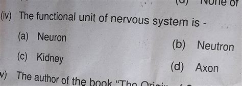 the functional unit of nervous system is filo
