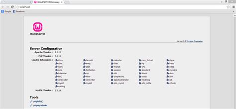 Common Wamp Server Error Solution Log Imp