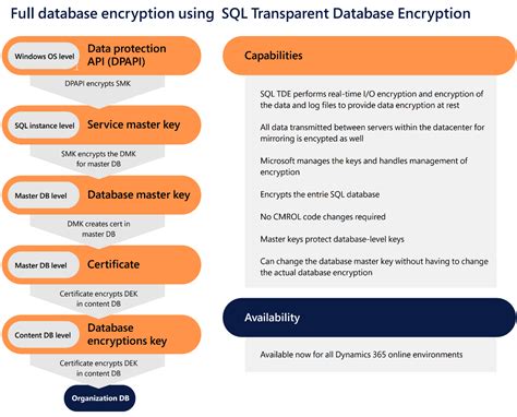 使用dynamics 365安全控件保护您的数据 架构师研究会
