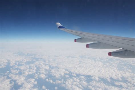 비행기 좌석은 왜 파란색일까 비행기 좌석에 숨겨진 비밀은 네이버 포스트