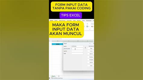 Cara Membuat Form Input Data Tanpa Coding Sederhana Sekali Excel Exceltutorial Exceltricks