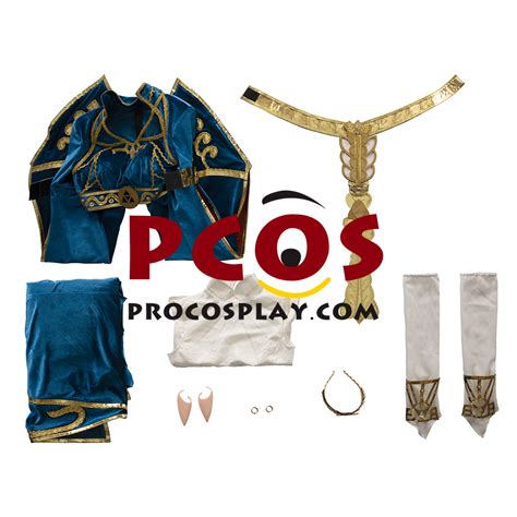 The Legend Of Zelda Breath Of The Wild Princess Zelda Cosplay Costume