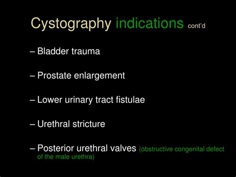 Ppt The Urinary System Powerpoint Presentation Free Download Id