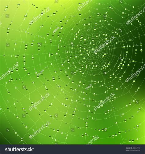 Rain Drops Spider Web 122개가 넘는 로열티 프리 라이선스 대상 스톡 벡터 및 벡터 아트 Shutterstock