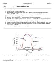TUTORIAL QUESTION Anatomy Of The Heart And Cardiac Cyle Pdf Pdf BBF TUTORIAL