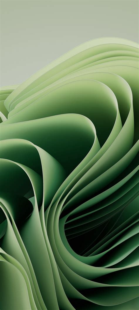 Full Green Wallpapers Top Free Full Green Backgrounds Wallpaperaccess