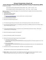 GPP And NPP Virtual Lab Docx Primary Productivity Virtual Lab Gross Primary Productivity GPP