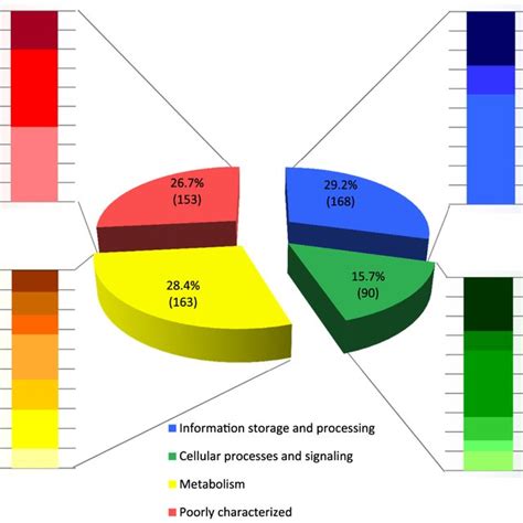 Streptococcus Phylogenetic Tree Unrooted Maximum Likelihood Download Scientific Diagram