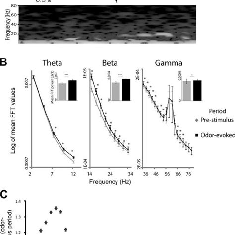 Odor Evoked Local Field Potentials Lfps In The Mdt A Top Raw Lfp Download Scientific