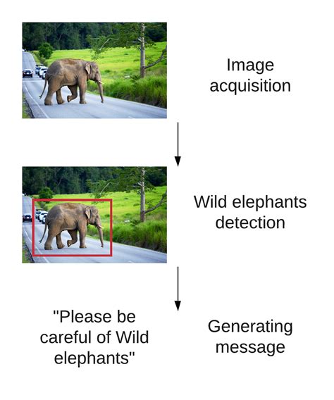 Wild Elephant Detection And Warning Systems By Pitisit Medium