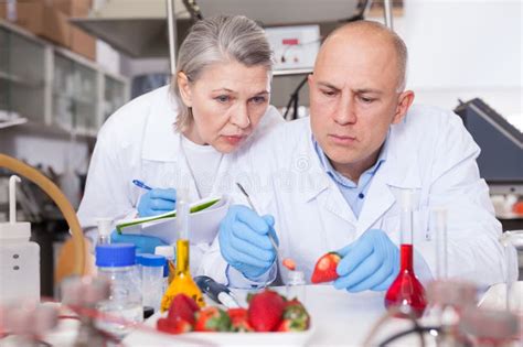 Scientists Taking Notes While Checking Agricultural Products Stock