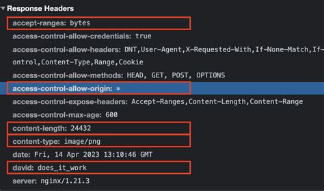 Setting `access Control Allow Origin` Header Does Not Work Developers Internet Computer