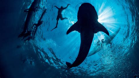 წისქვილი