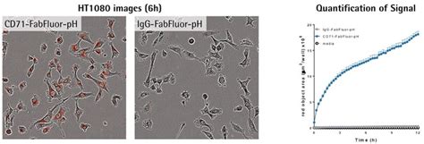 Cancer Drug Discovery Antibody Internalization Assays