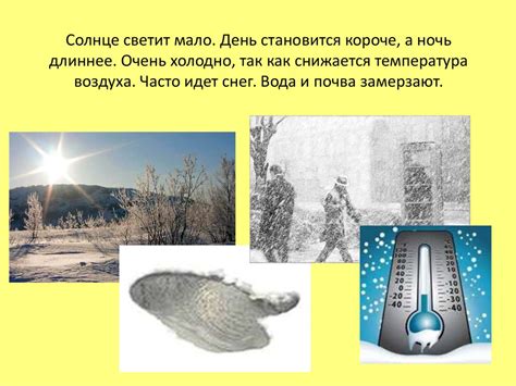 Сезонные изменения в природе и жизнедеятельности организмов презентация онлайн