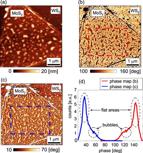 A Morphology Of Mos2 Ws2 Heterostructure B Phase Map For The Download Scientific Diagram