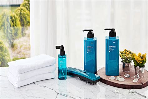 Why Do I Have An Oily Scalp And Dry Hair Smib 스미브