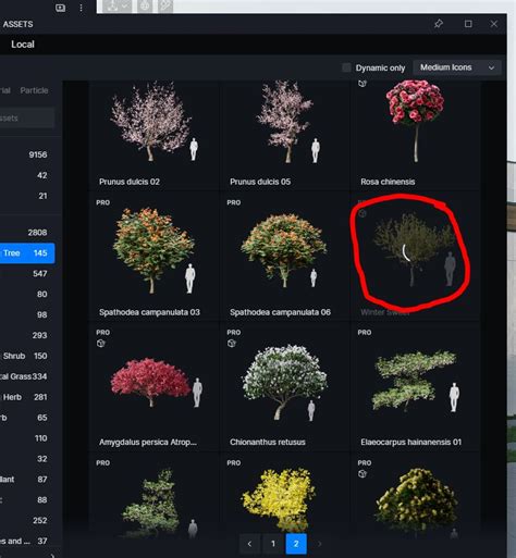 Asset Library Downloading Error Tech Support D5 Render Forum
