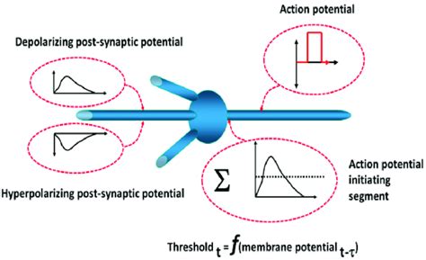 Model Neurons Consist Of Multiple Dendritic Inputs Affecting The Download Scientific Diagram