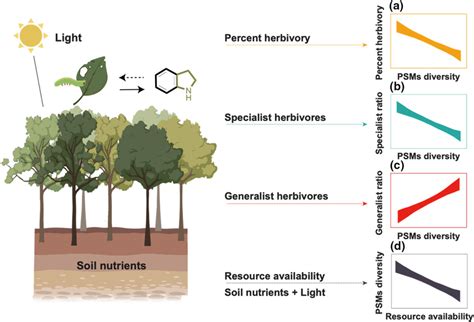 An Overview Of The Expected Relationships Between Plant Secondary