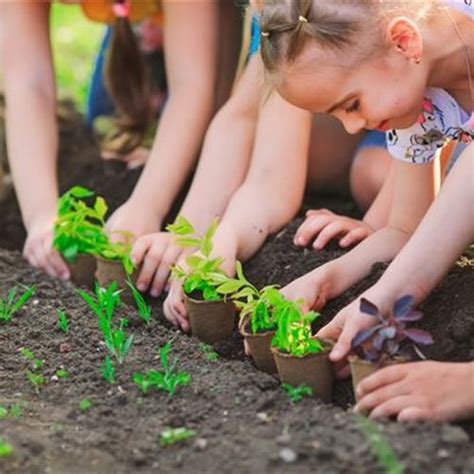 دانلود عکس و وکتور باکیفیت و لایه باز