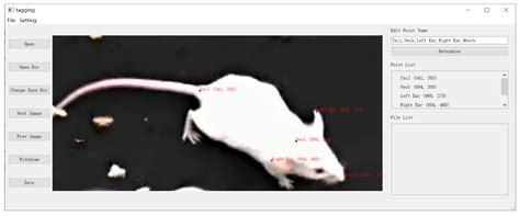 Symmetry Free Full Text A Large Scale Mouse Pose Dataset For Mouse