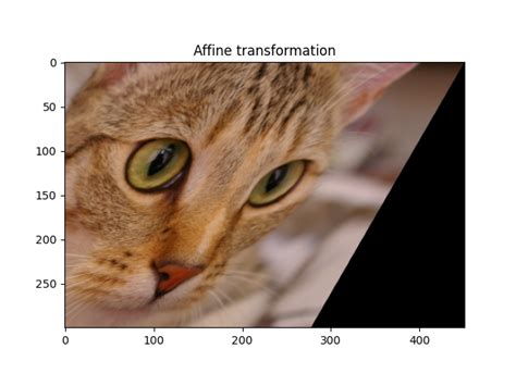 types of homographies — skimage 0 21 0 documentation
