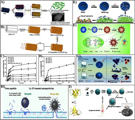 A Cefepime Or Meropenem Loaded Amine Functionalized Mesoporous Silica Download Scientific