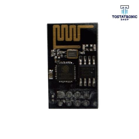 Módulo Wifi Esp8266 Esp 01 Con Relay Tostatronic