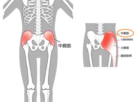 【片足立ちで靴下を履けない人】バランス感覚を鍛えて安定感up！寝たままできる中臀筋トレーニング ヨガジャーナルオンライン