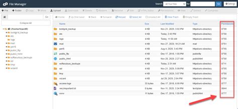 Changing File Permissions In CPanel WIREDGORILLA