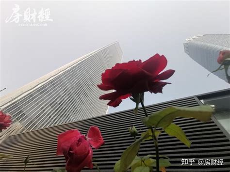 志邦家居2022年度每10股派发红利7元，另每10股转增4股 知乎
