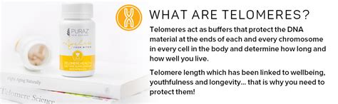 Puraz Telomere Supplements With Potent Astragalus Root