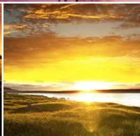 Java 去除 String 数组中的 null 空值 和 空字符串 最近对 Lambda 表达式有些兴趣然 掘金