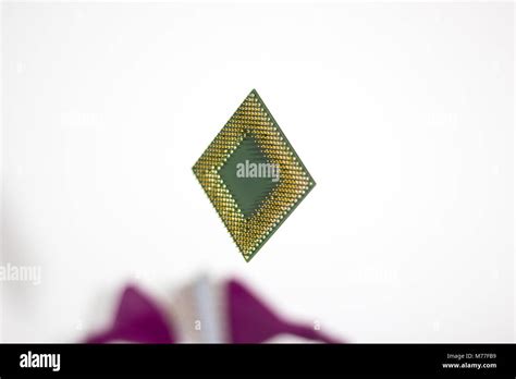 Cpu Closeup For Pc And Laptop White Background Stock Photo Alamy