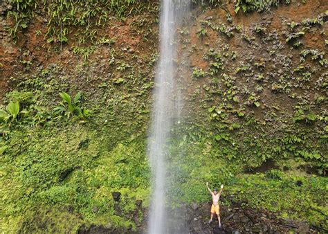 Wildlife Hike Middleham Falls 2025 Dominica
