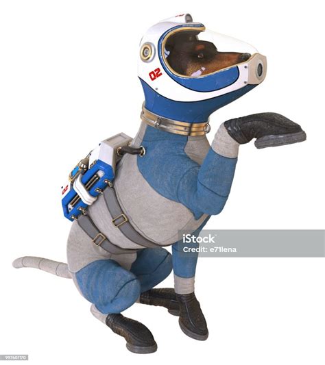 우주 비행사의 우주 복에 개입니다 3d 그림 흰색 절연입니다 개에 대한 스톡 사진 및 기타 이미지 개 개념 귀여운 Istock