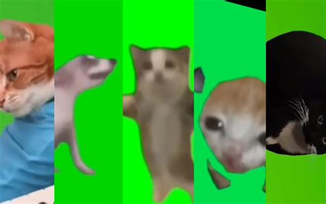 猫猫绿幕素材 Nuerosama 素材 哔哩哔哩视频