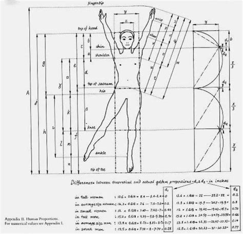 Human Golden Ratio Fibonacci Sequence