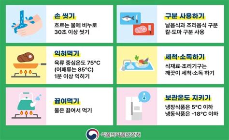 기온 상승에 식중독 위험 증가개인위생 관리 철저