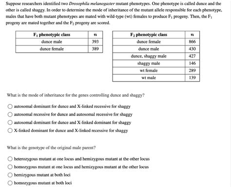 Solved Suppose Researchers Identified Two Drosophila Melanogaster