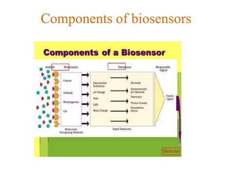Biosensor Its Components Working And Types Of Biosensors PPTX