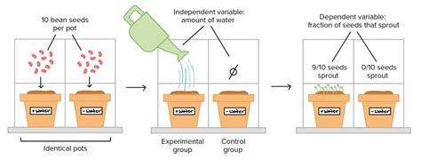 Controlled Experiment Definition Process Importance Examples