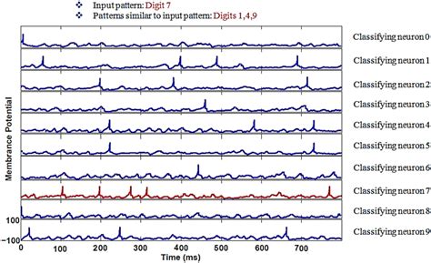Spike Pattern Of Classifying Neurons When Digits 7 Is Presented To The