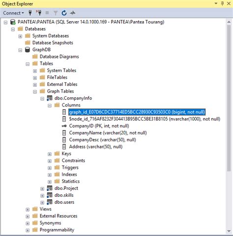 Sql Server The Meaning Of The Graphid Column In The Node Tables In
