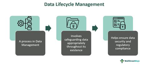 Data Lifecycle Management Dlm What It Is Goals Stages