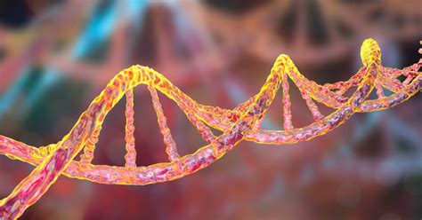 Snapshot What Does Incomplete Penetrance Mean National Ataxia Foundation